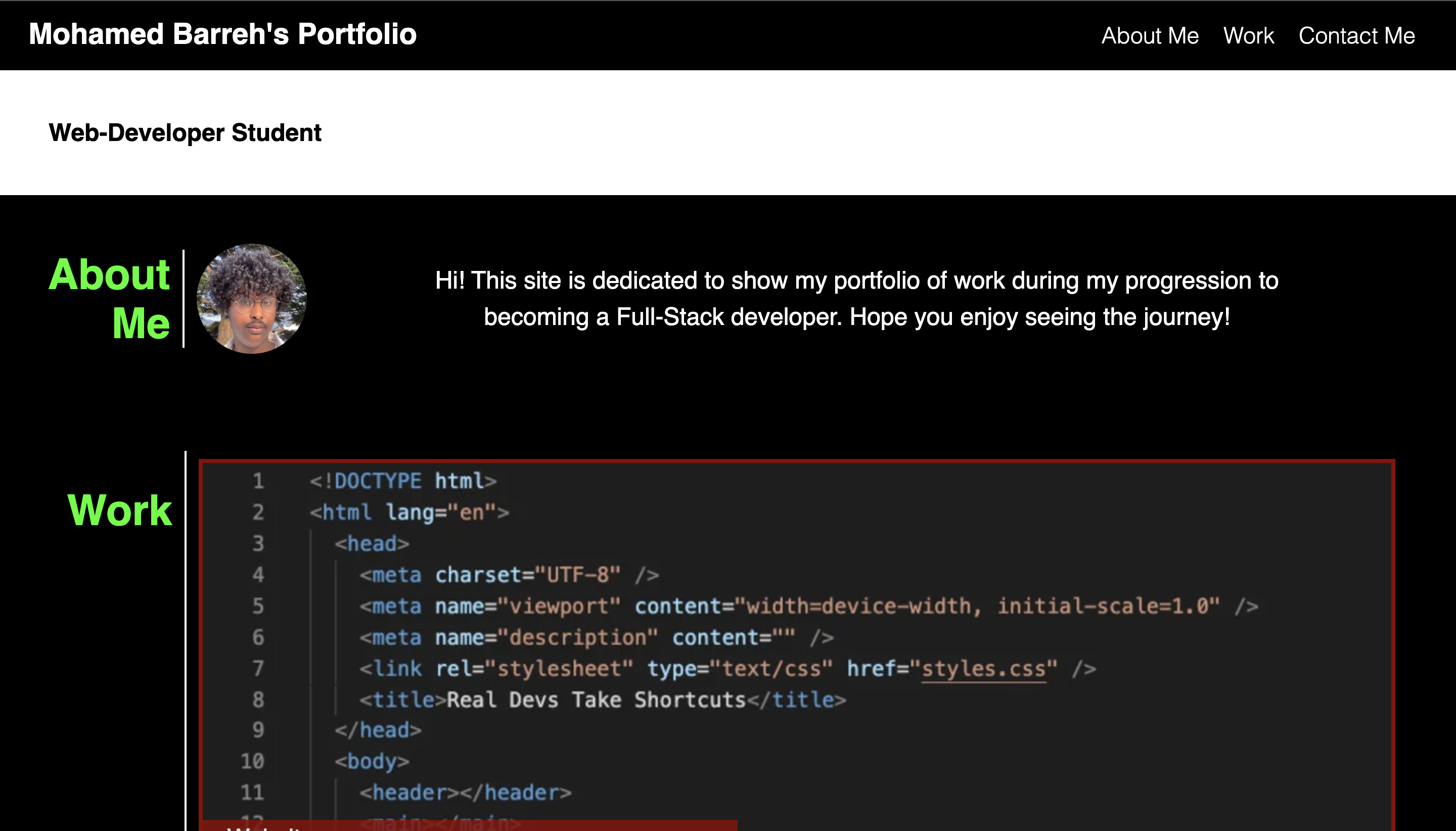 GitHub - mobarreh/Professional-Portfolio