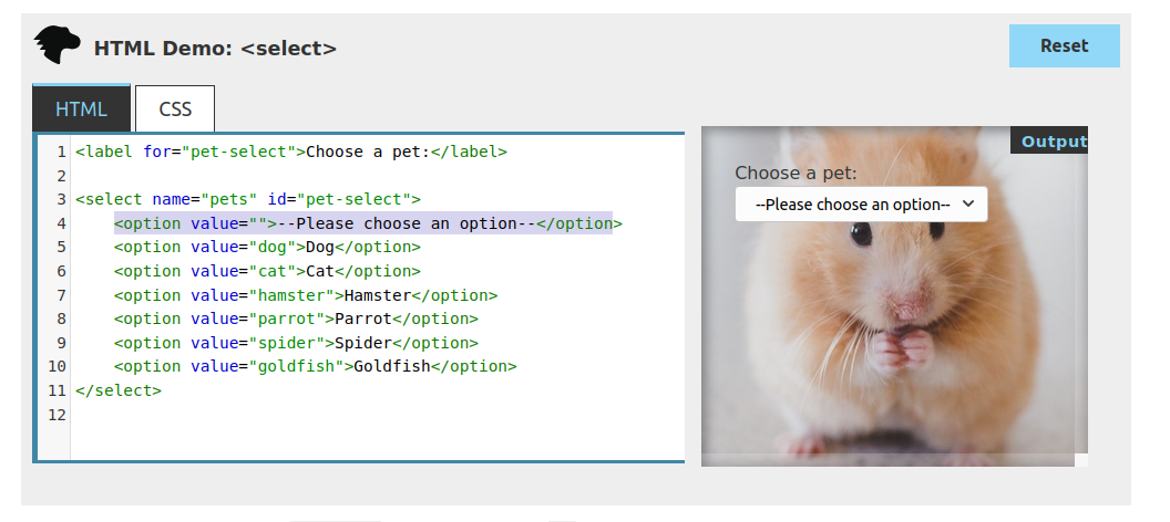  Html Option Value Konchu jp