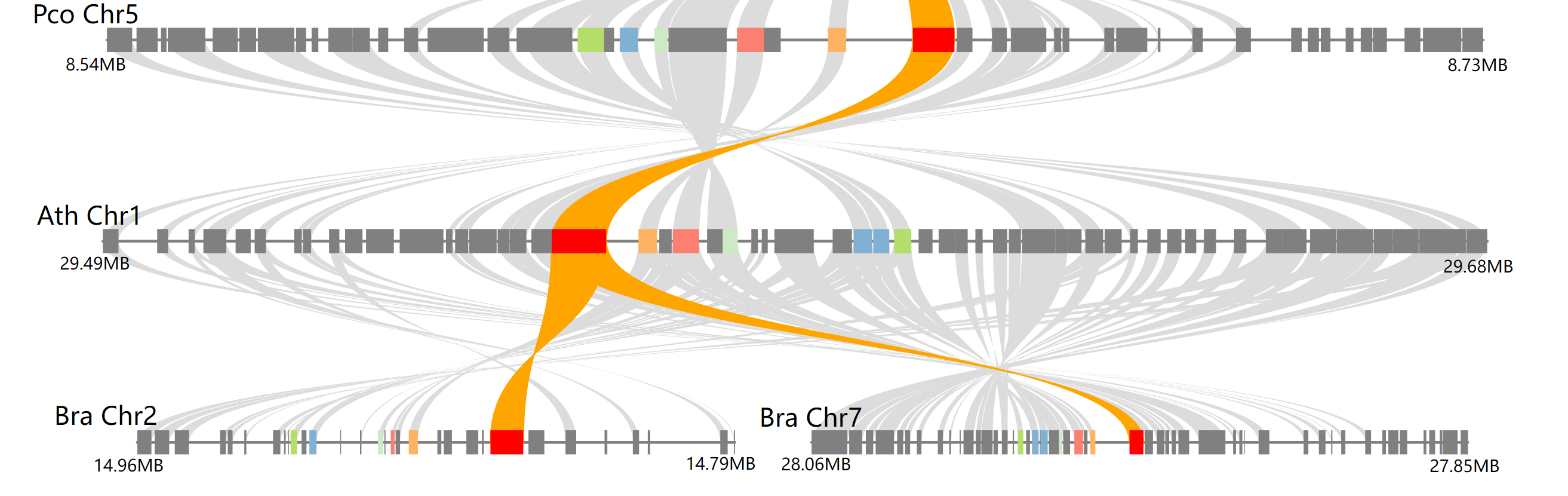 How to control the direction of the gene block in Microsynteny ...