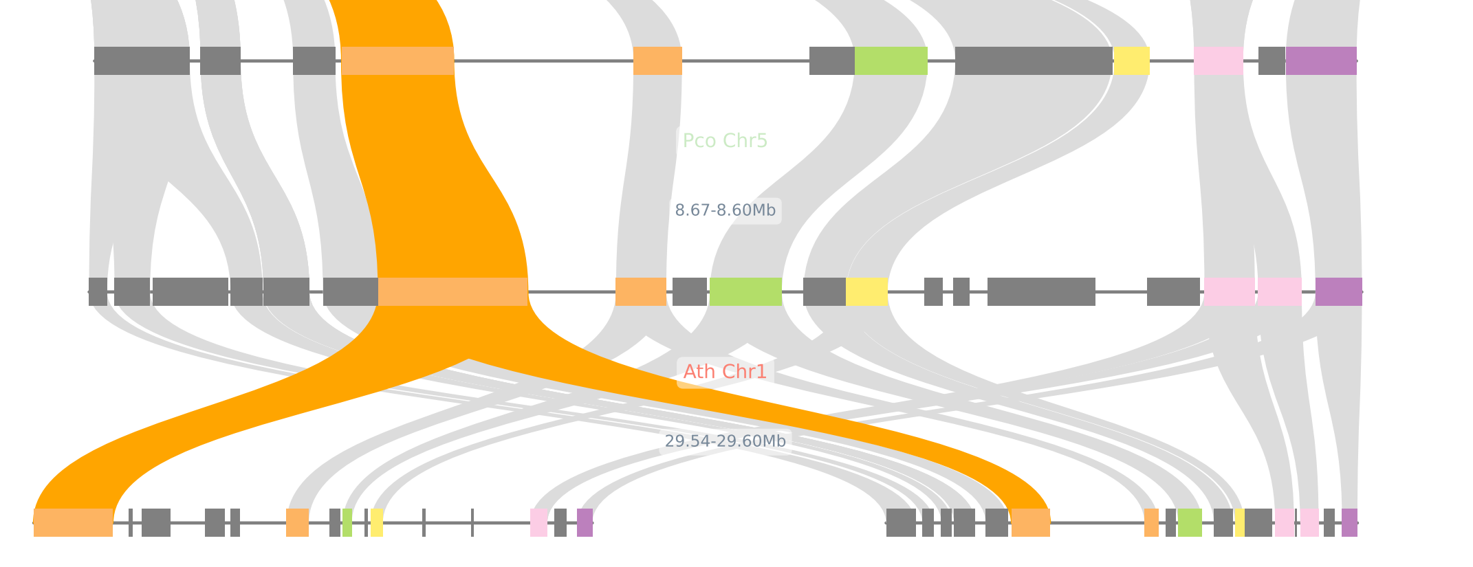 How to control the direction of the gene block in Microsynteny ...