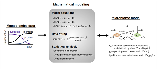 GitHub - AU-Wang-He-Group/DynamicGEM-coculture: A semi-structured kinetic model and coculture ...