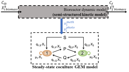 GitHub - AU-Wang-He-Group/DynamicGEM-coculture: A semi-structured kinetic model and coculture ...