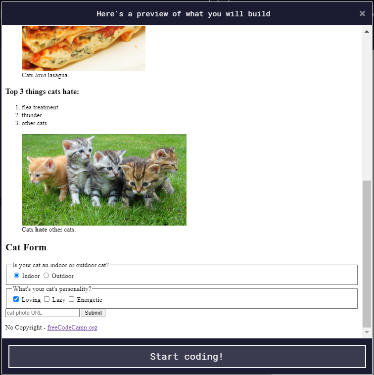 GitHub - Minecakir/freeCodeCamp