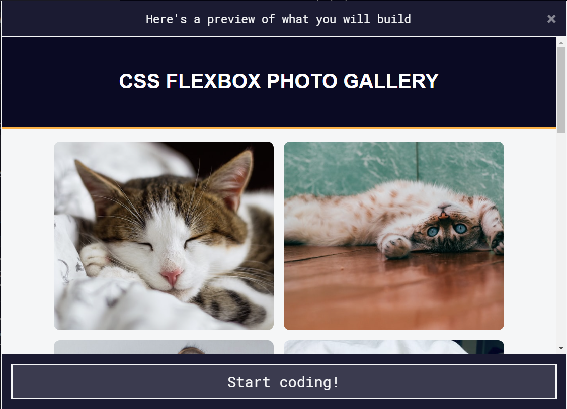 GitHub - Minecakir/freeCodeCamp