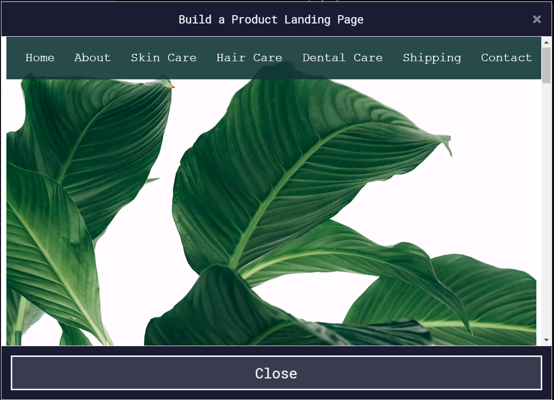 GitHub - Minecakir/freeCodeCamp
