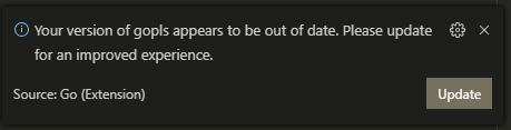 Extension says gopls is out of date when using @master version · Issue #2742 · microsoft/vscode ...