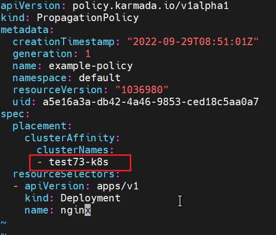 There is a problem with the API interface for creating a propagationpolicy when neither the ...