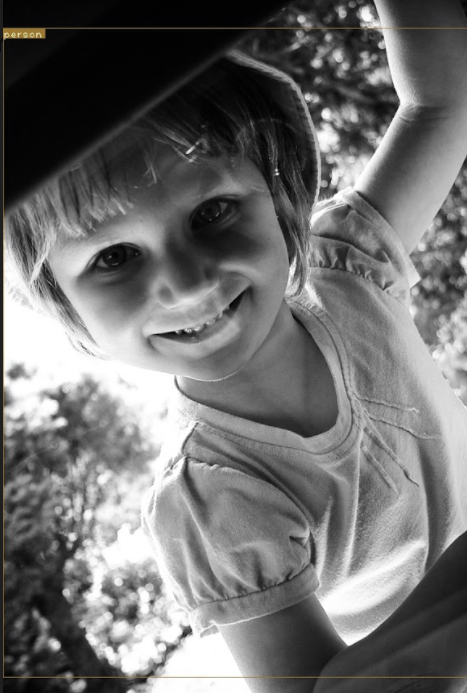 GitHub - maicg01/YOLOV3