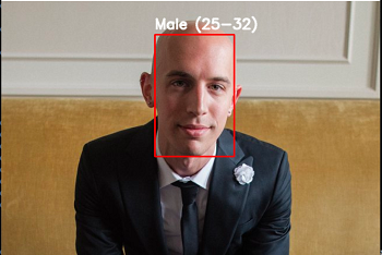 GitHub - pulkitkhandelwal29/Age-Gender-Detection-Project: Computer Vision