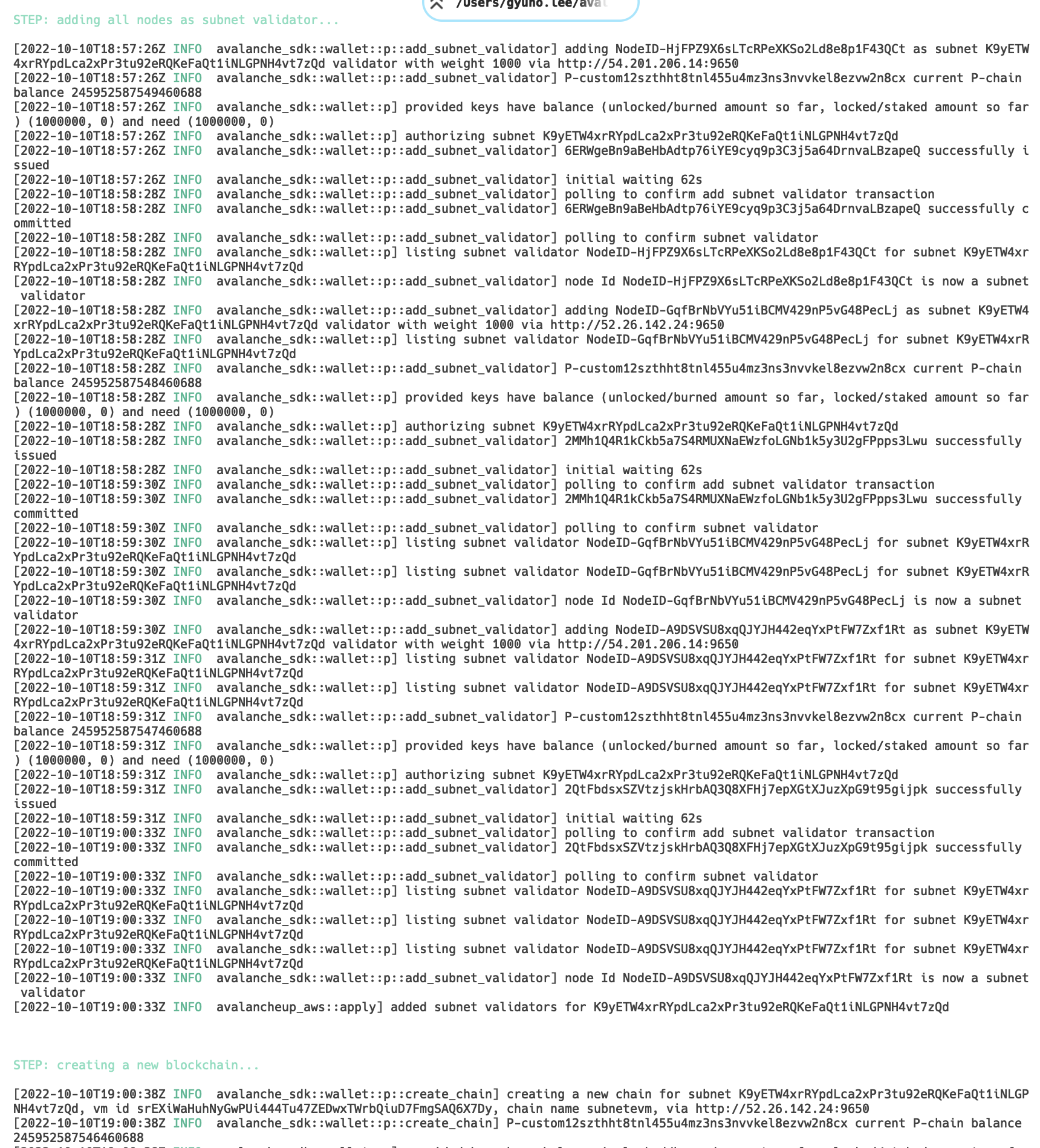 Automate subnet-evm installation with SSM + avalanche-sdk/wallet/p · Issue #151 · ava-labs ...