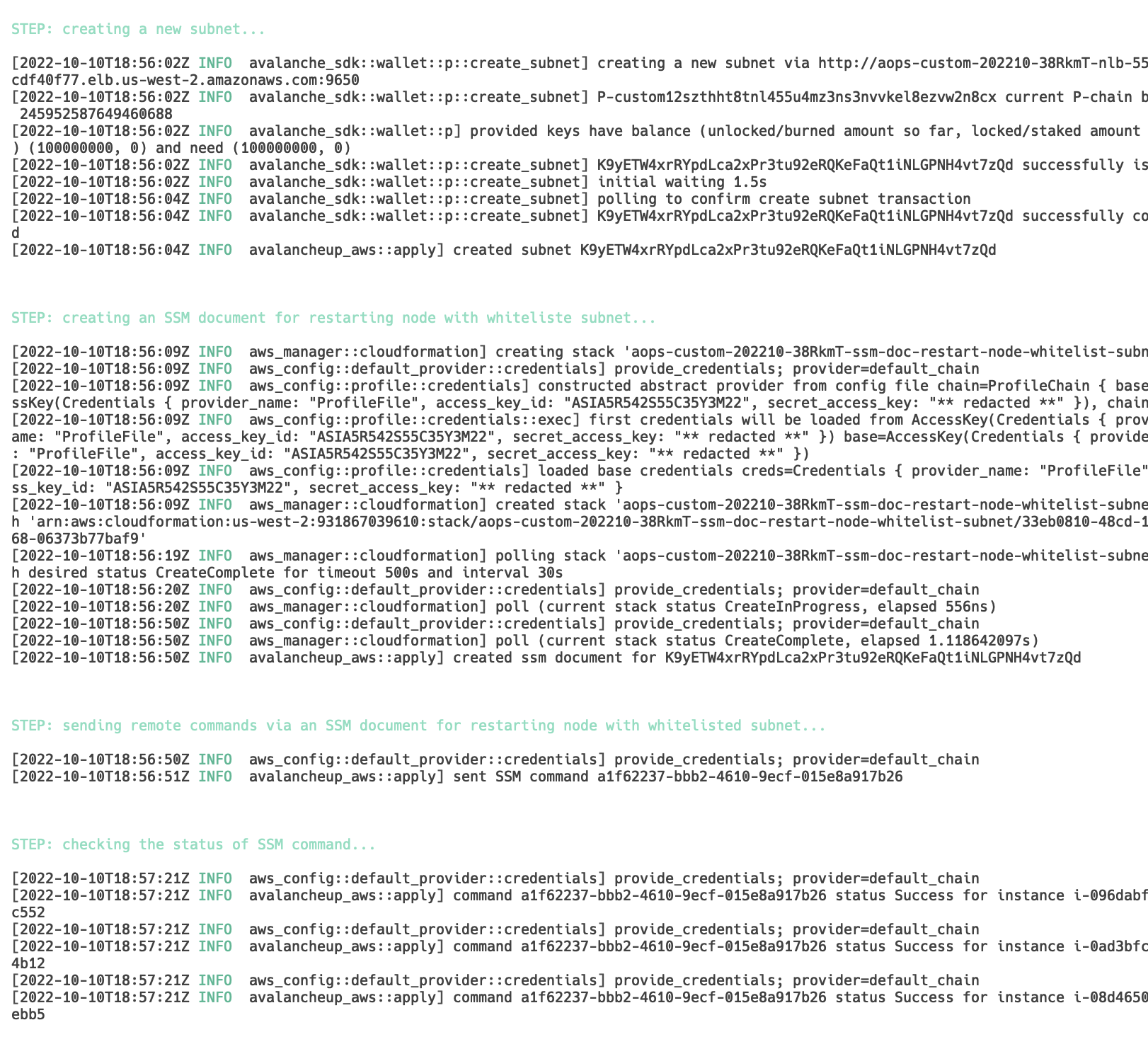 Automate subnet-evm installation with SSM + avalanche-sdk/wallet/p · Issue #151 · ava-labs ...