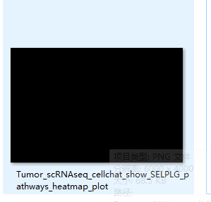 netVisual_heatmap function can't work if i use for-loop to draw multiple heatmap plot. · Issue ...