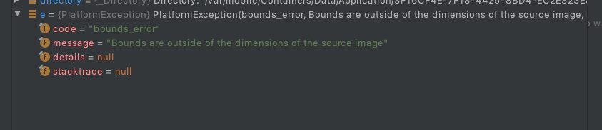 Crop Image On Ios Doesn T Work Issue 90 Btastic Flutter Native
