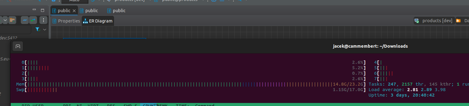 High CPU usage when ER diagram is open · Issue #18433 · dbeaver/dbeaver · GitHub