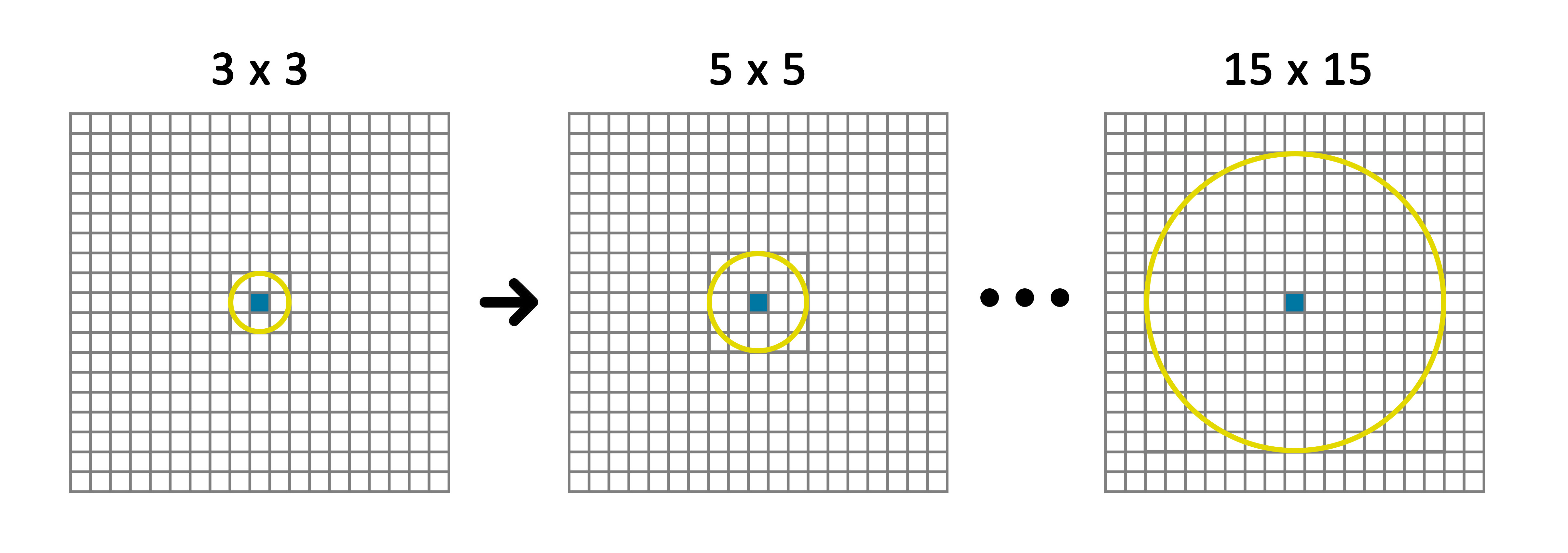 GitHub - ivanhykwong/Tree-Crown-Delineation: R code used to perform ...