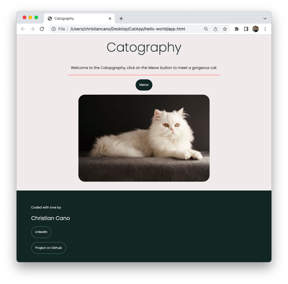 GitHub - chriscompose/Catography: JavaScript web app that shows random ...