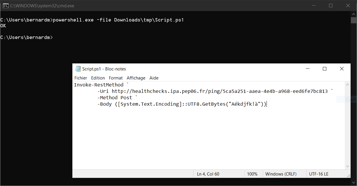 `UnicodeDecodeError` on ping endpoints with UTF-16LE-encoded payloads · Issue #574 ...