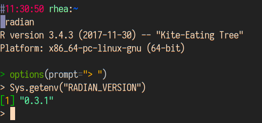 `options(prompt=...)` updates break syntax highlighting and popup ...