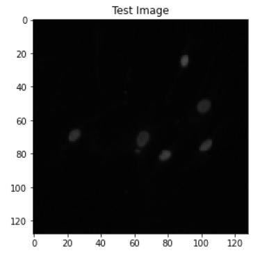 GitHub - Nikhil9425/Detect-nuclei-from-segmented-images