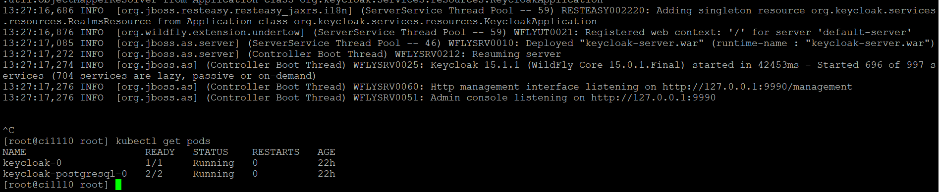 network timeout at: https://keycloak.xx.xx.xx.xx.nip.io/ · Issue #1072 · linode/apl-core · GitHub