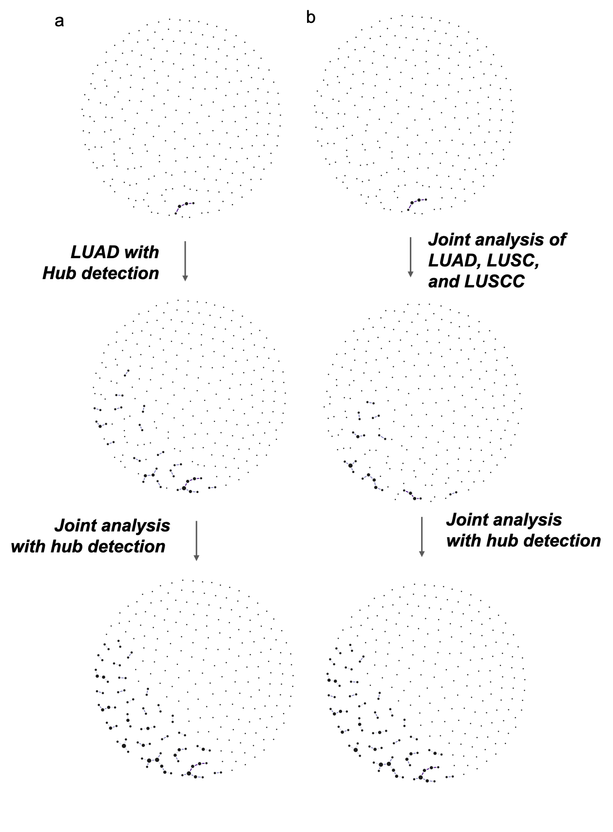 GitHub - jennylsl/MicroBNetwork: MicroBNetwork is a a computationally efficient and ...