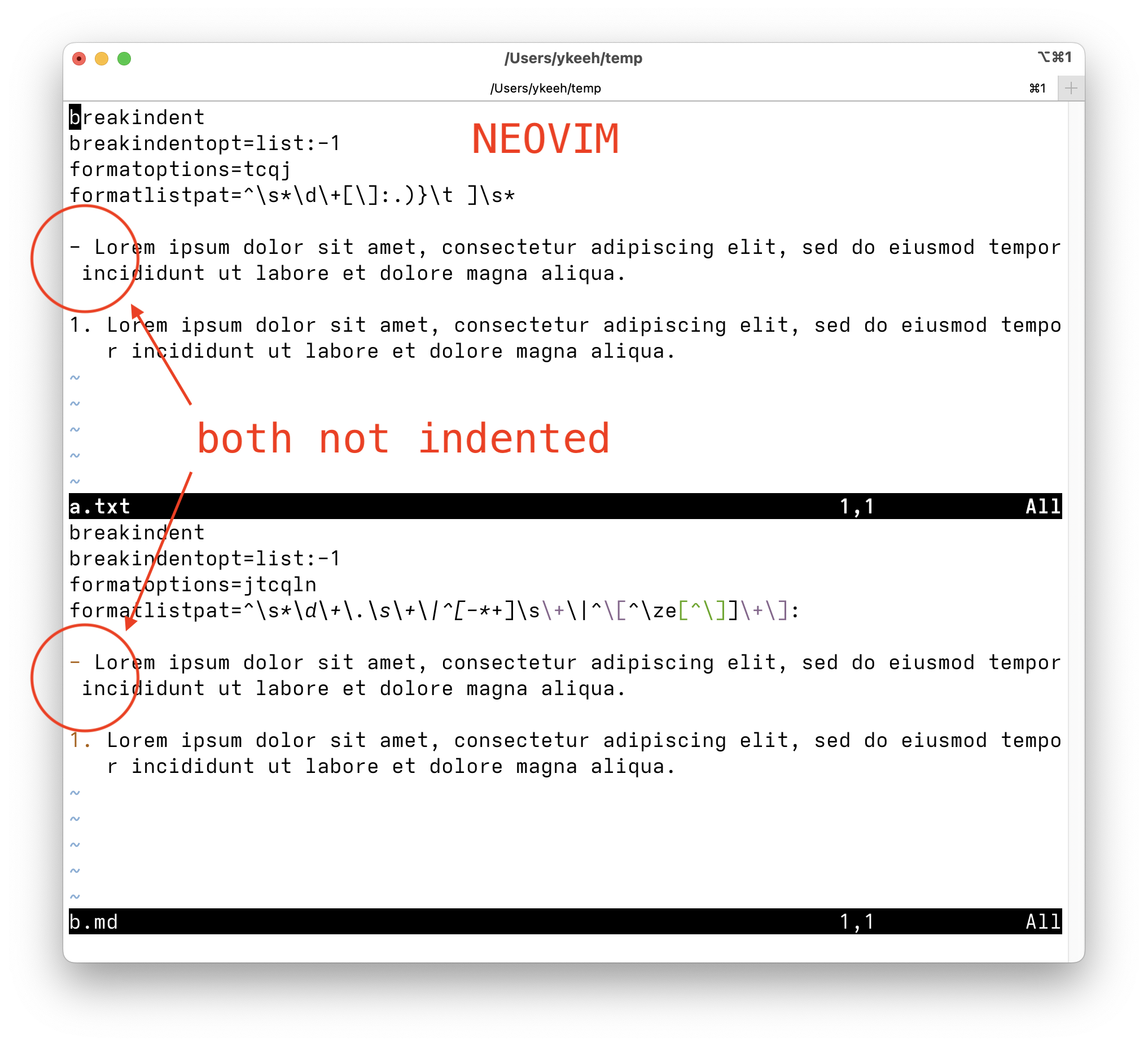 indents from breakindentopt:list-1 & formatlistpat not being local to buffer · Issue #20418 ...
