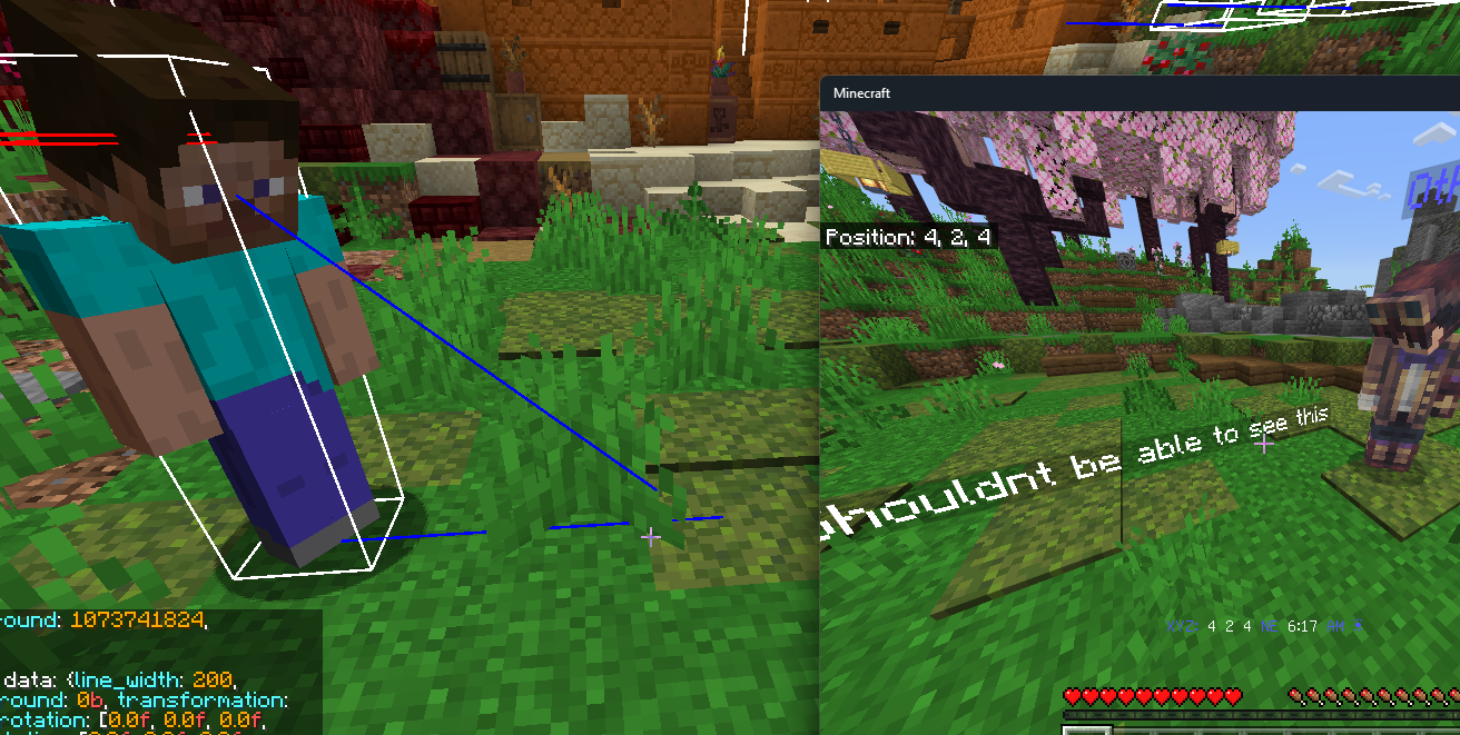 Able to see names of TextDisplay entities on Bedrock, overriding the real text · Issue #4308 ...