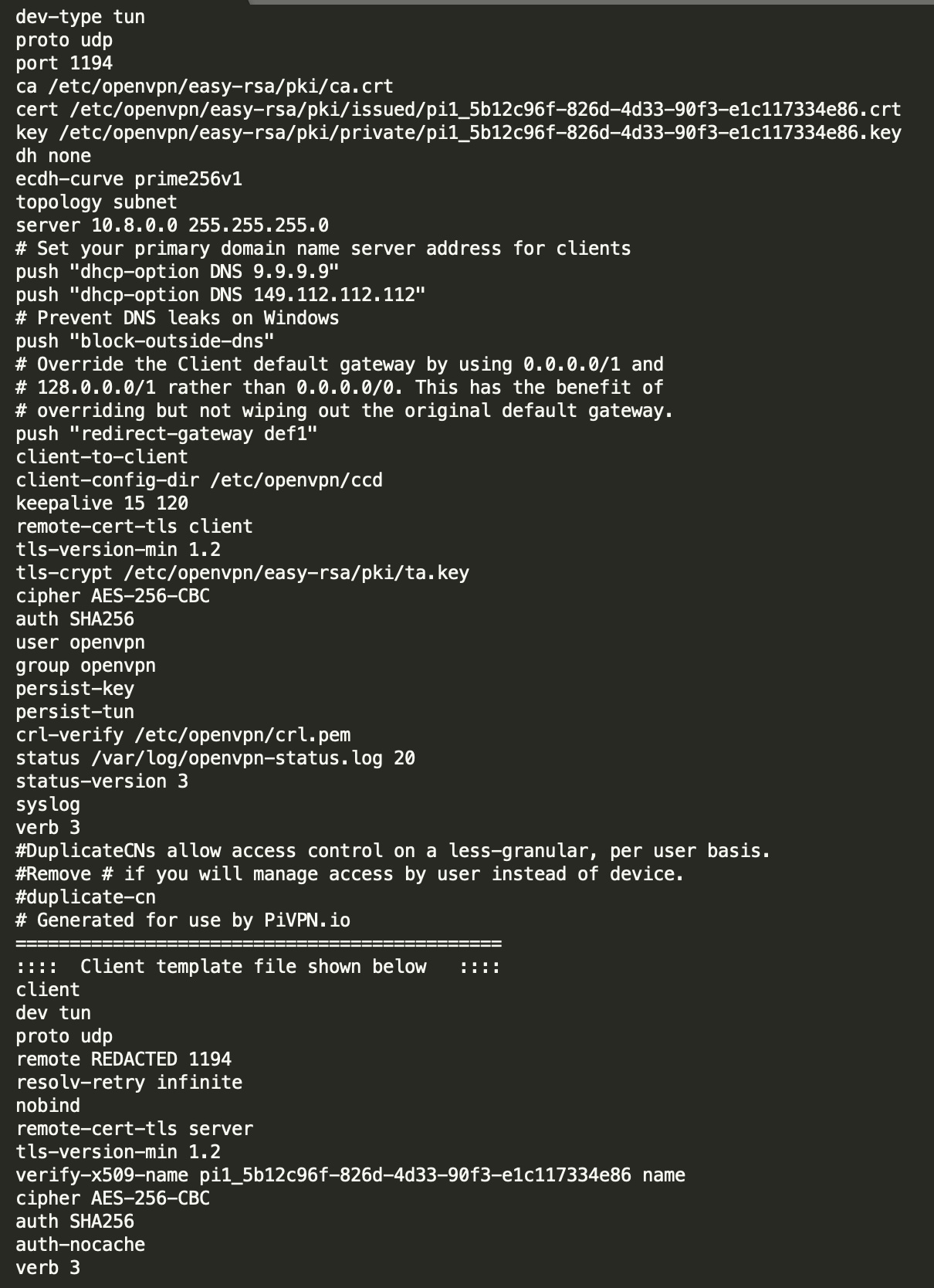 cannot connect .ovpn · Issue #1310 · pivpn/pivpn · GitHub