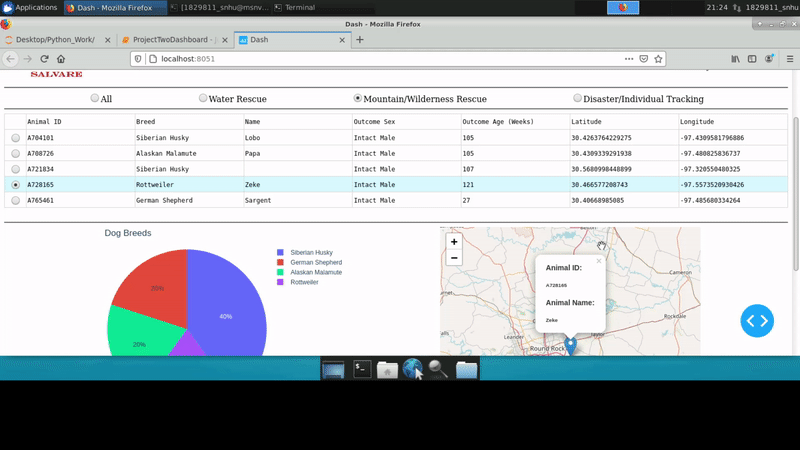 GitHub - P-Burk/CS-340-Client-Server-Development