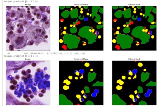 GitHub - Aadesh-1404/nuclei-segmentation-classification