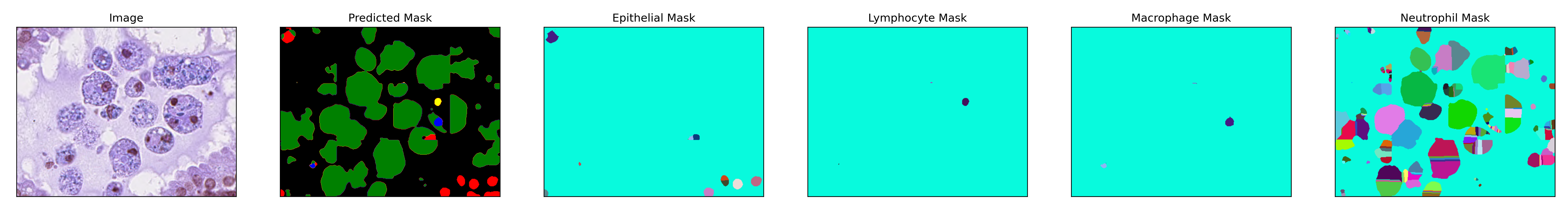 GitHub - Aadesh-1404/nuclei-segmentation-classification