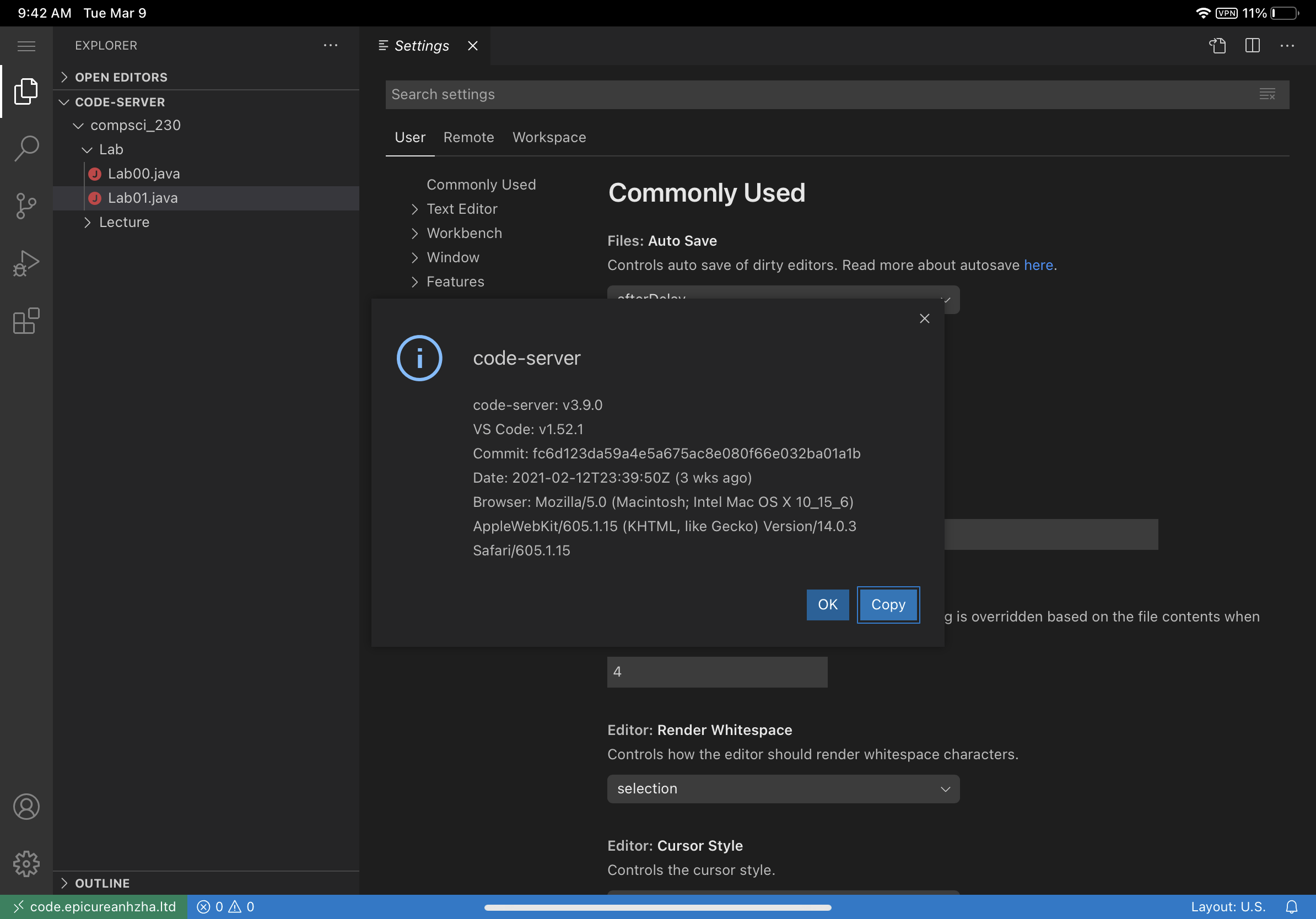 upgrading to 3.9.1 shows wrong version in code-server help · Issue ...