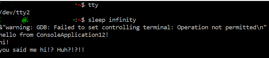 No immediate/direct printf into Output Debug window when using OpenFolder + GDB + WSL · Issue ...