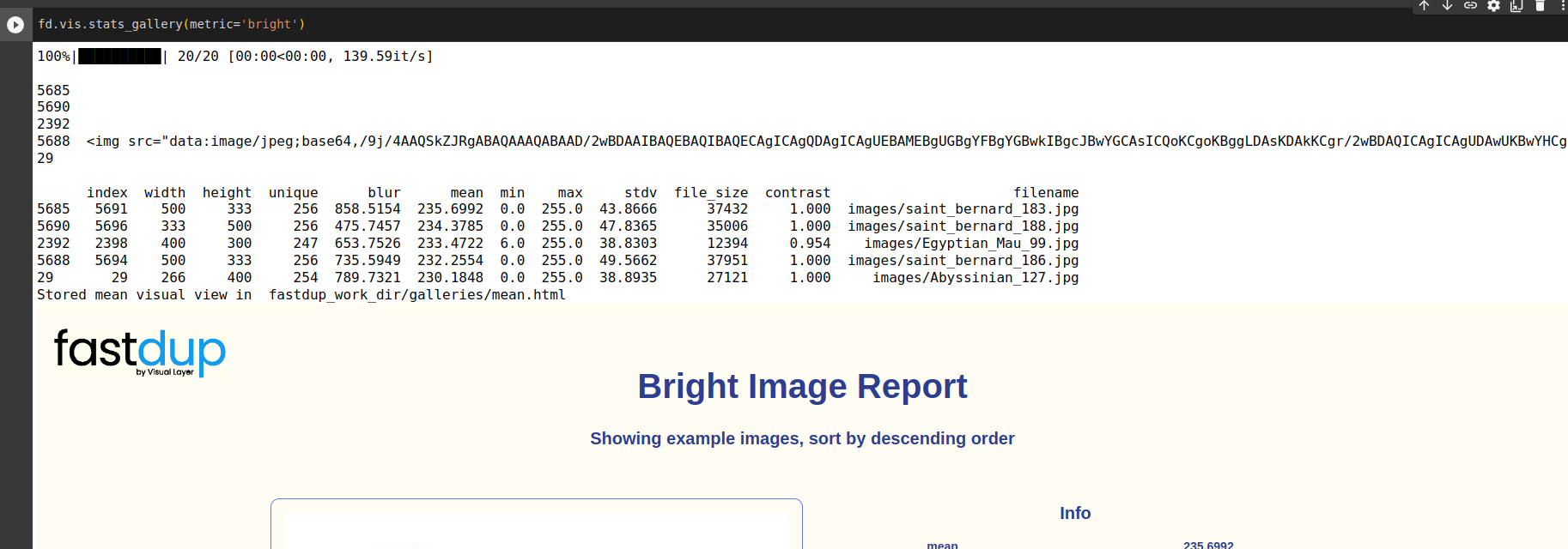 [bug] Clutter When Running `fd Vis Stats Gallery` · Issue 222 · Visual Layer Fastdup · Github