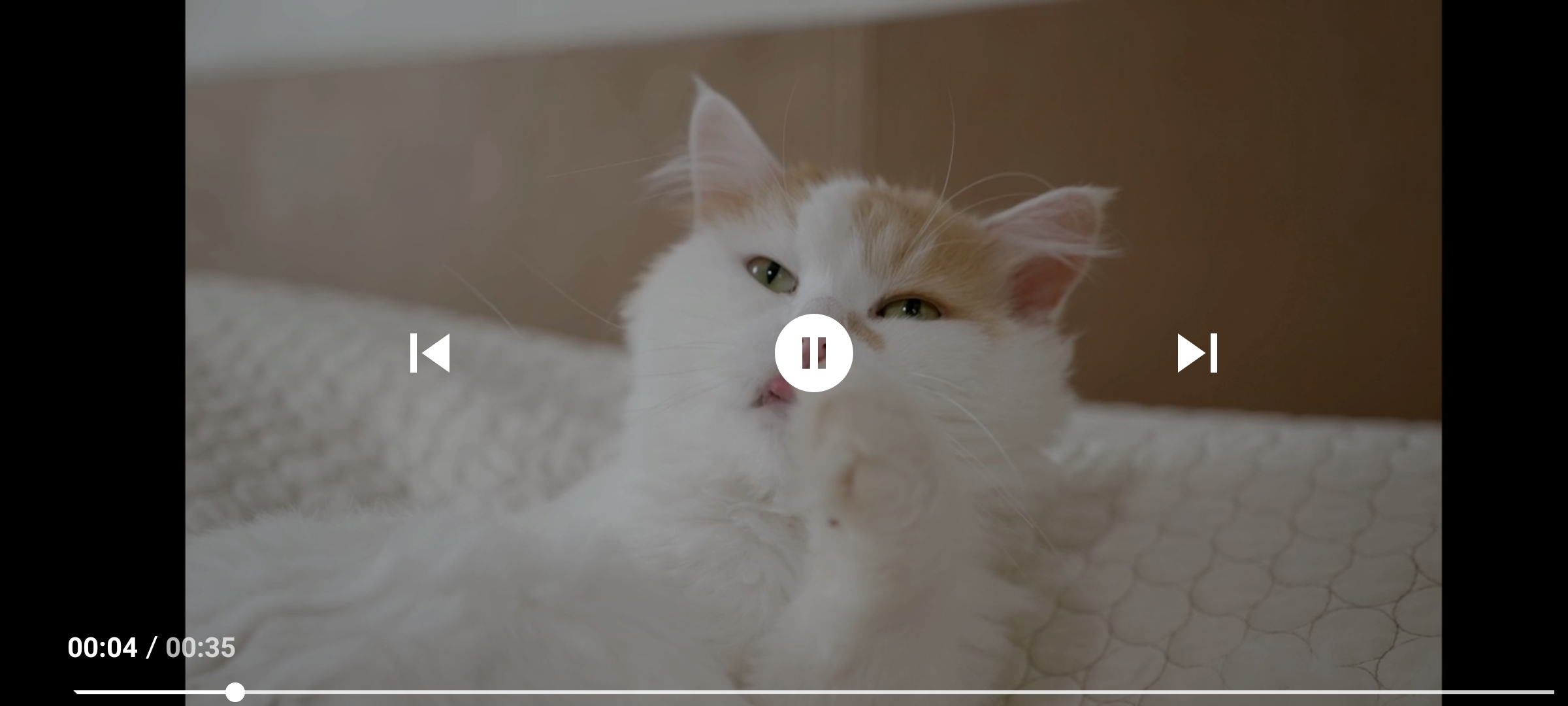 GitHub - dogeby/SimplePlayer