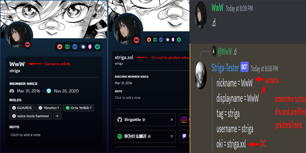 GitHub - StrigaWile/discord-yeni-tag-sistemi: Discord yeni tag sistemi ...