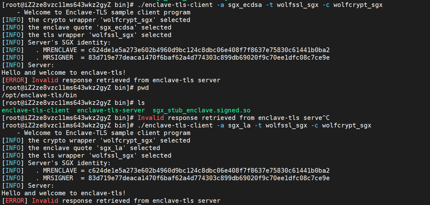 enclave-tls-client: [ERROR] Invalid response retrieved from enclave-tls ...