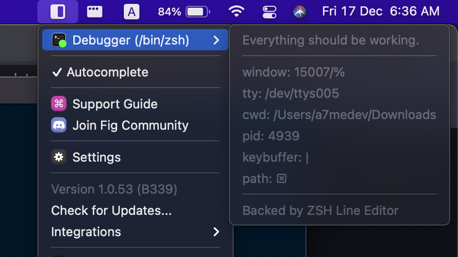 Theme is not persistent · Issue #724 · withfig/fig · GitHub
