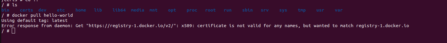 certificate has expired or is not yet valid in dind image · Issue #378 · docker-library/docker ...