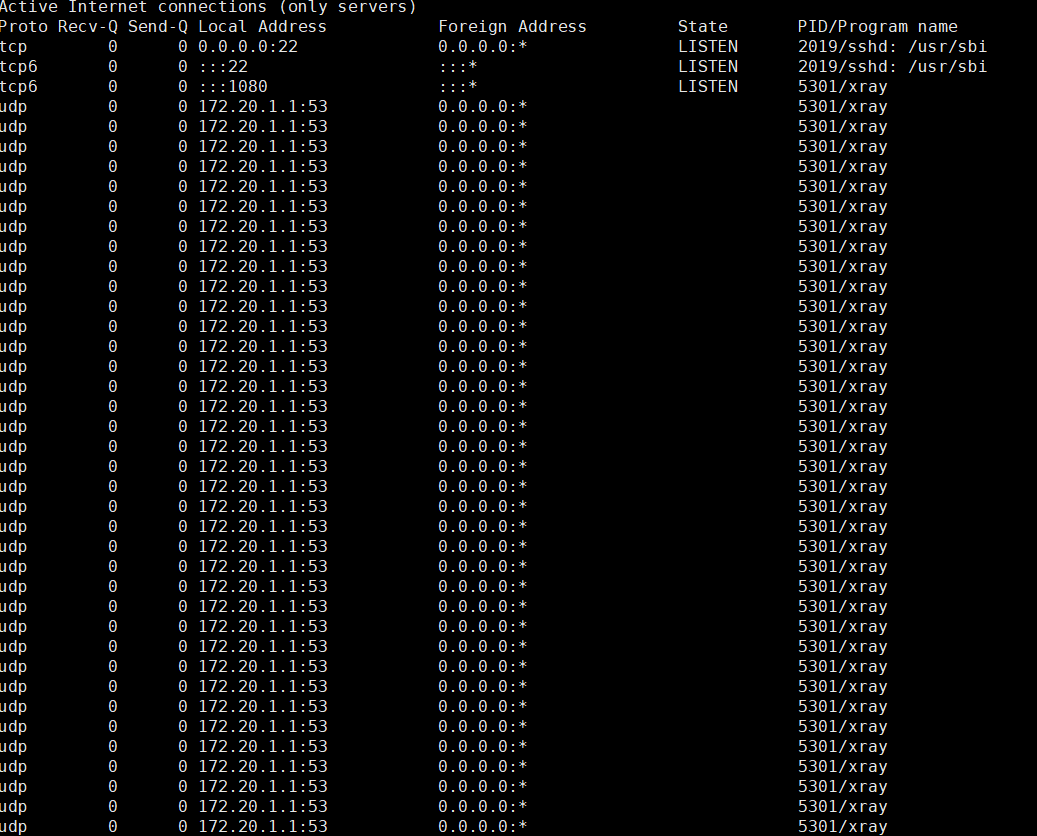 为什么查询dns后任务不会释放什么原因？ · Issue #1586 · XTLS/Xray-core · GitHub