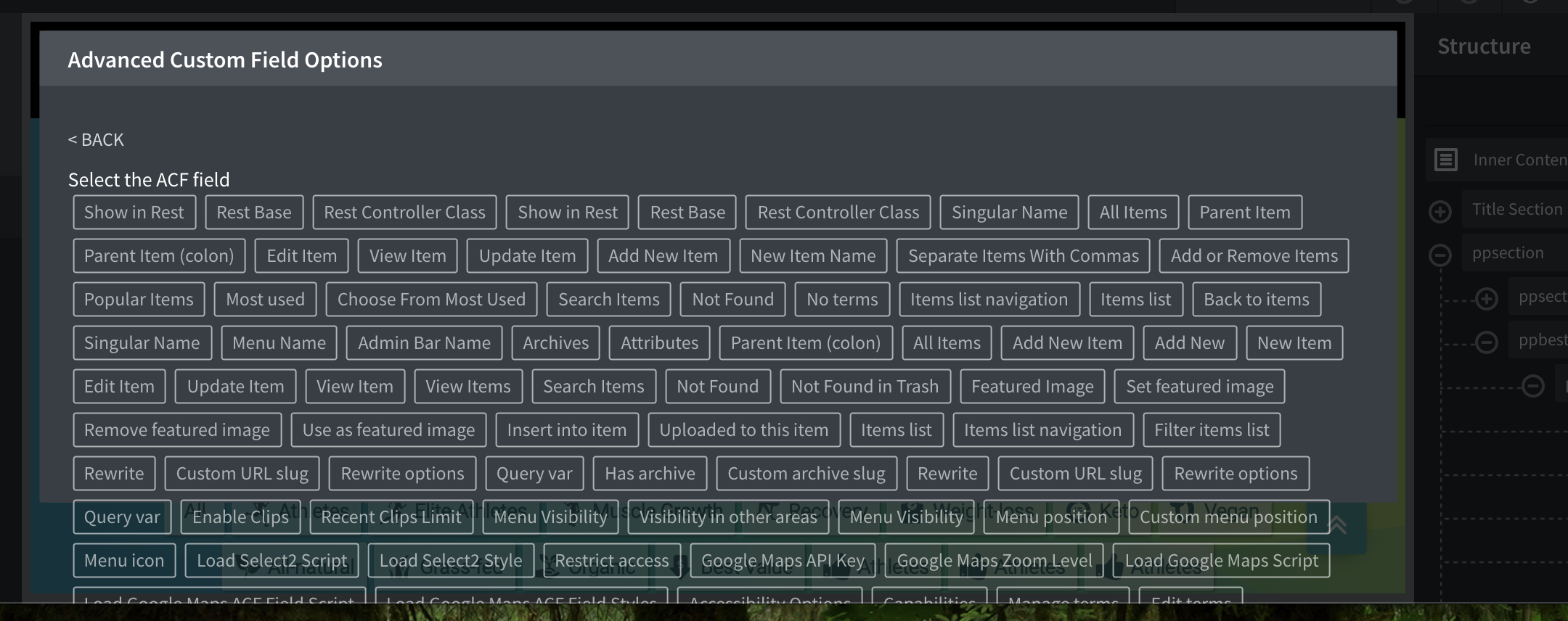 ACF field referencing issue when inside groups · Issue #2198 · soflyy/oxygen-bugs-and-features ...