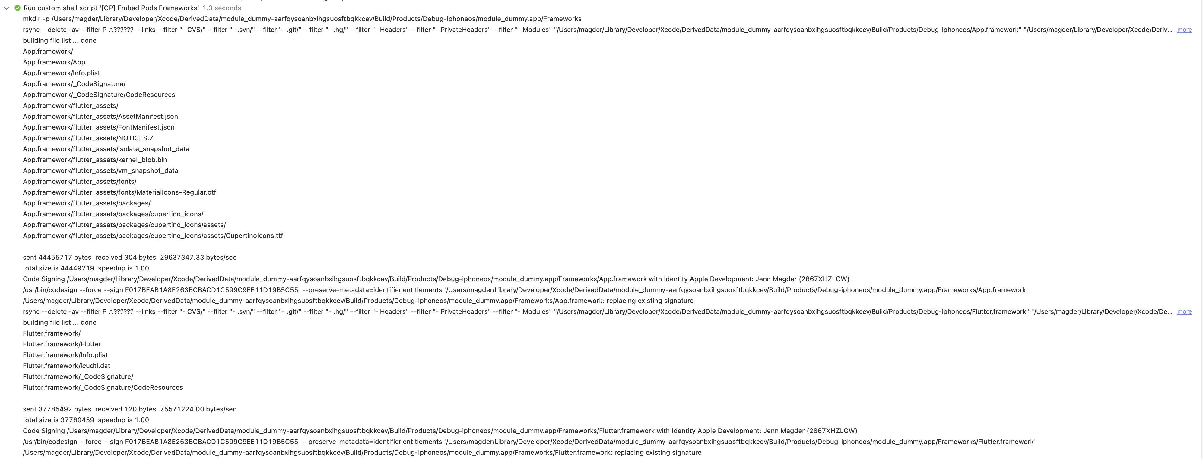 Failed to find assets path for "Frameworks/App.framework/flutter_assets" from flutter module ...