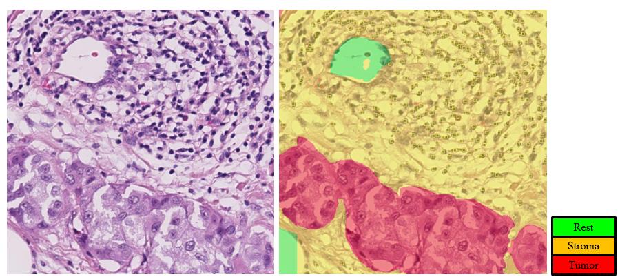 GitHub - DIDSR/DIDSR-TiGER