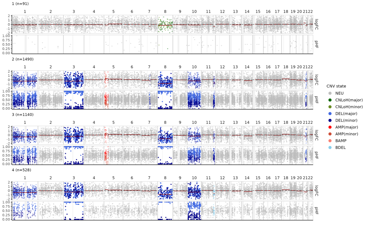 how to specify the number of clones in the bulk_clones_final.png and look at the allele ...