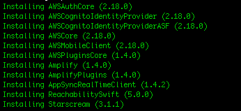 Deployment Issue with Amplify Framework: "Invalid Bundle Structure ...