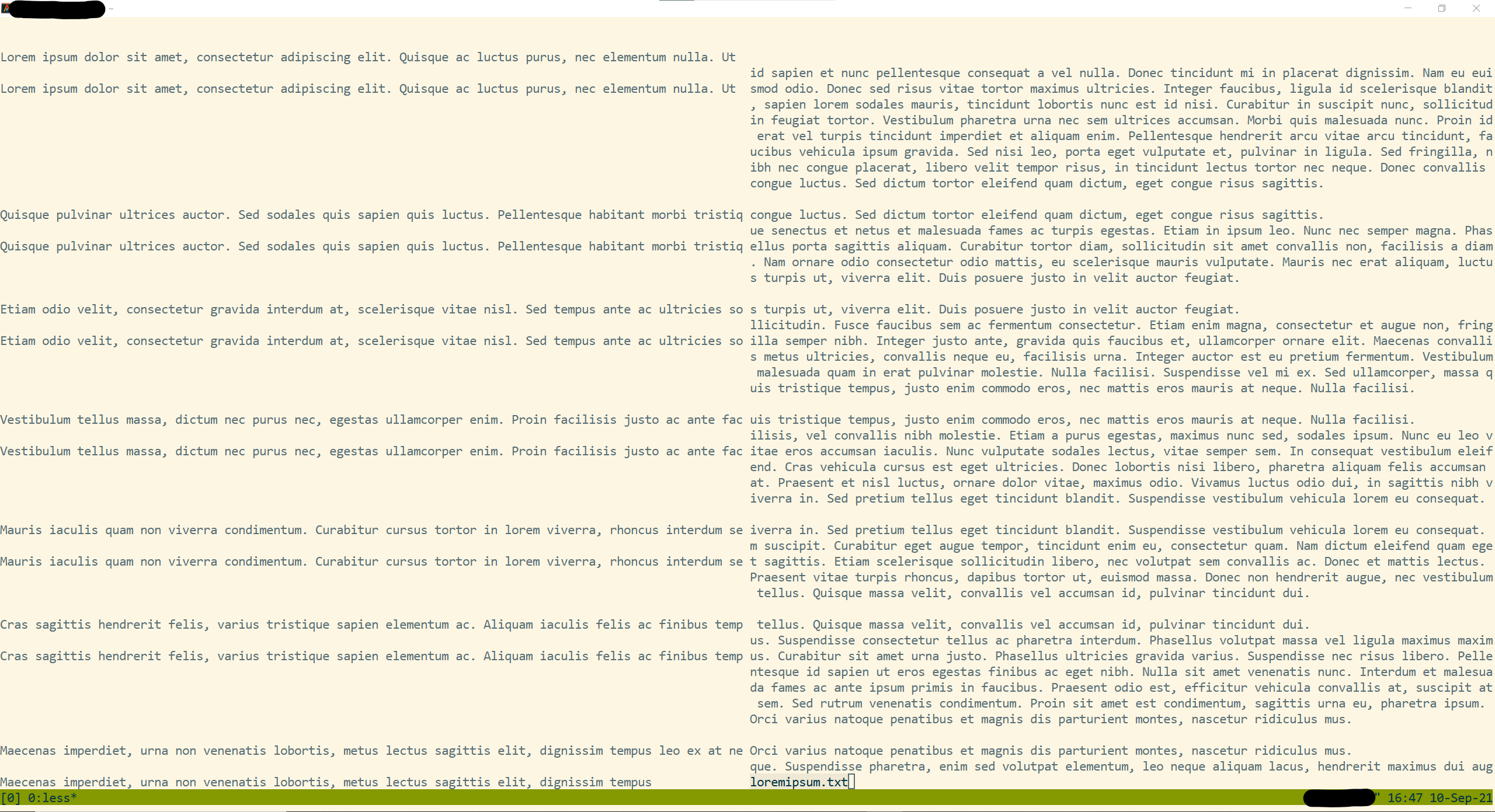 Incorrect Rendering Of Tmux Split Window · Issue 5483 · Alacrittyalacritty · Github