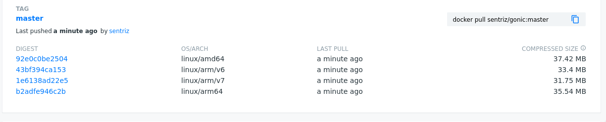 fix arm64 build · Issue #116 · sentriz/gonic · GitHub
