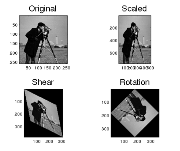 GitHub - dhruvbhatia563/Classify-Coloured-Images-of-Cats-and-Dogs ...