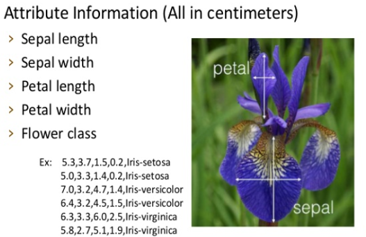 GitHub - dhruvbhatia563/Iris-Flower-Classification---ANN: Classify the ...