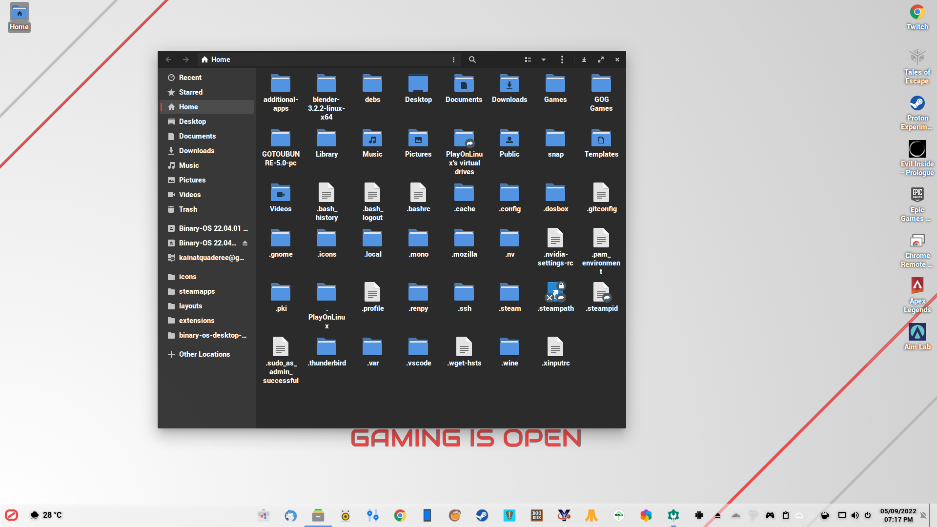 GitHub - kainatquaderee/BINARY-OS: modern gaming operating system